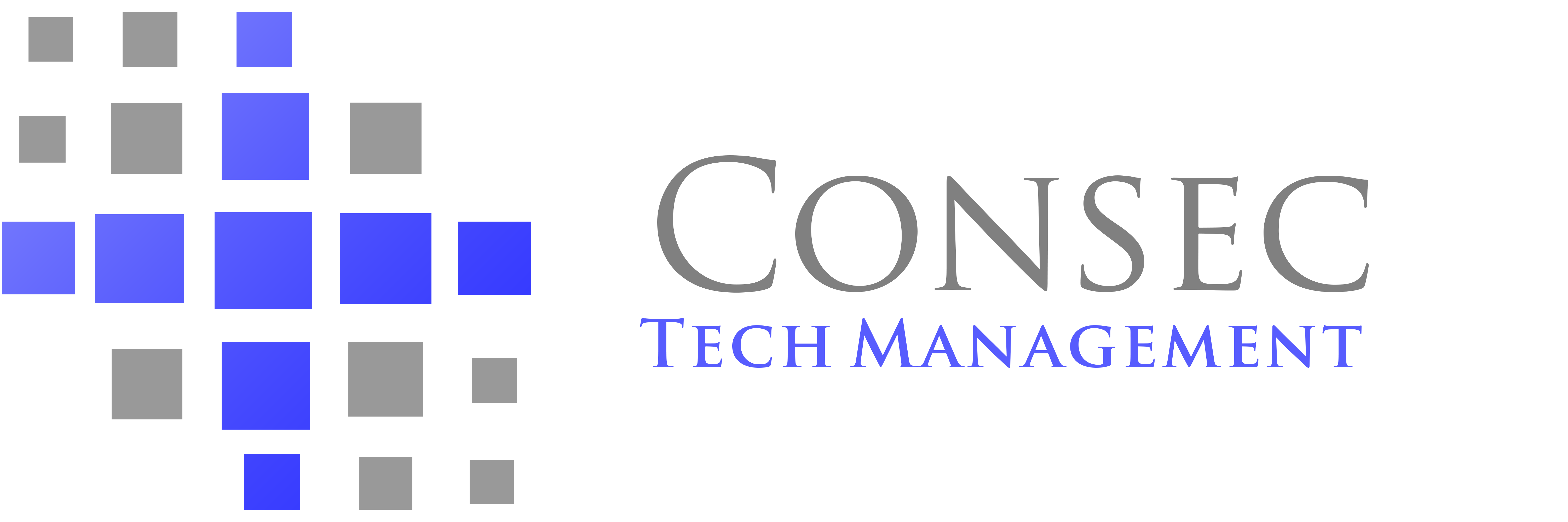Logo Landscape 002 Nbk Consec Tech Management Consec Risk Management